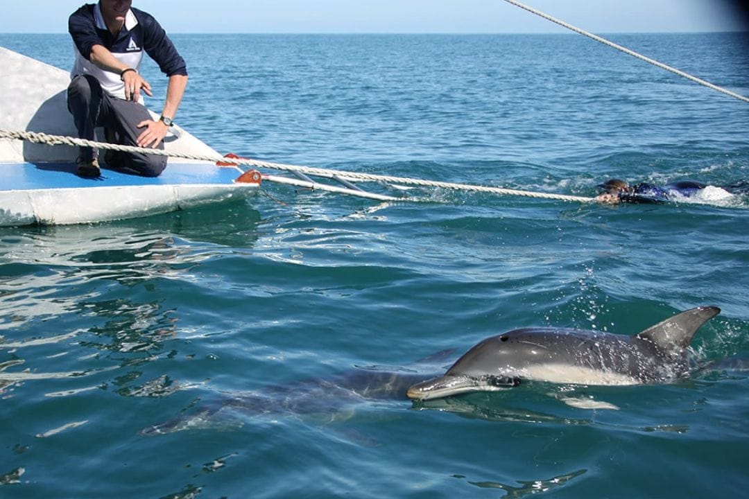 Company Mission & Vision - Temptation Sailing