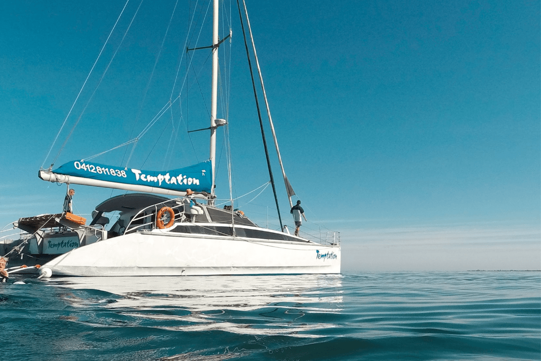 The Vessel - Temptation Sailing