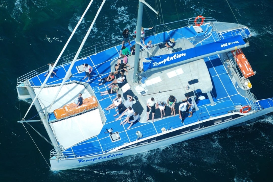 The Vessel - Temptation Sailing